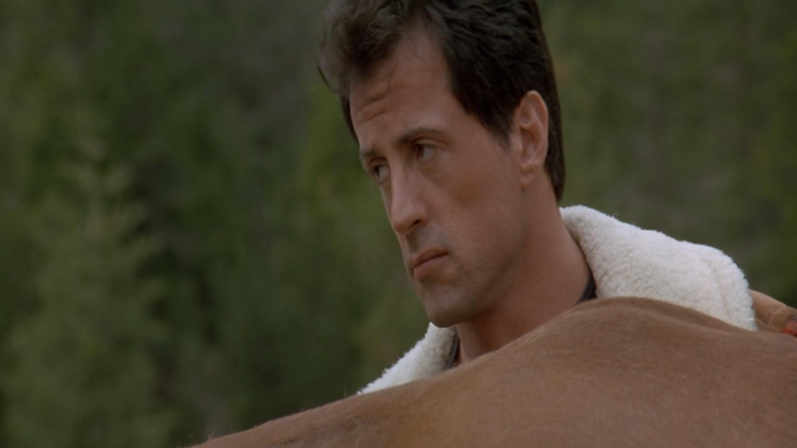 moviemaniac2u: Cliffhanger (1993 film)